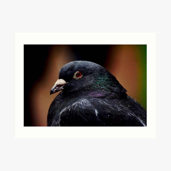 "The unseen beauty that hides in plain sight. " Art Print for Sale by ...