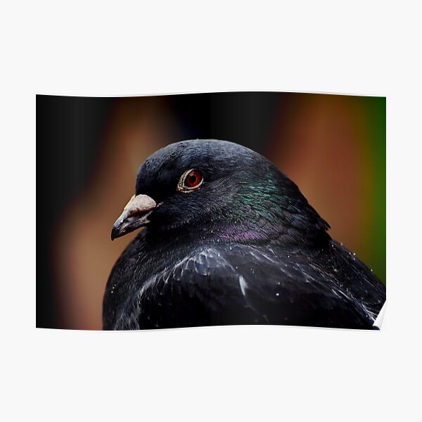 "The unseen beauty that hides in plain sight. " Poster for Sale by ...