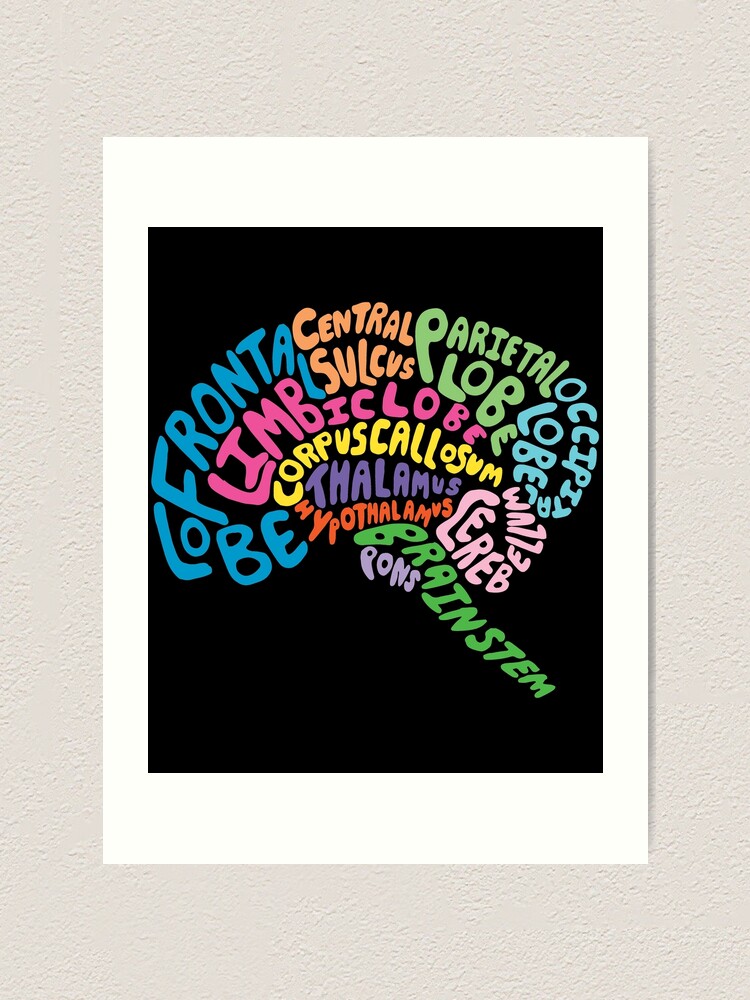 "Human Brain Anatomy using Typography" Art Print by Geek-topia | Redbubble