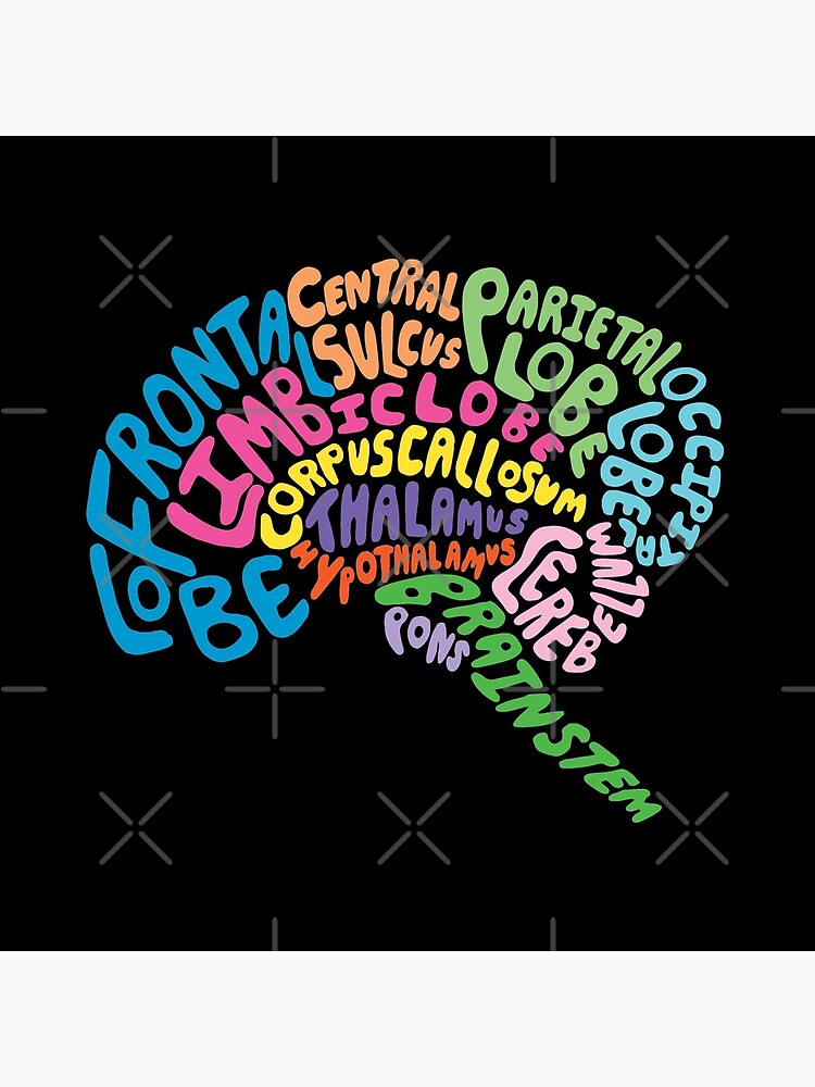 Human Brain Anatomy Using Typography Bag