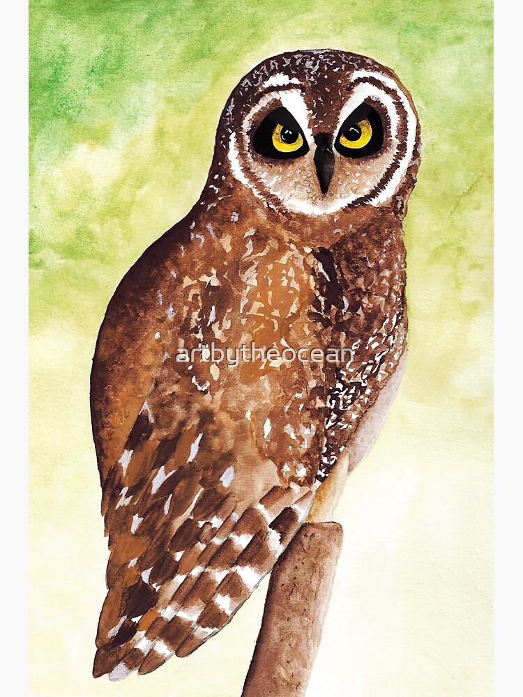 "Hawaiian Pueo Owl Painting" Canvas Print by artbytheocean | Redbubble