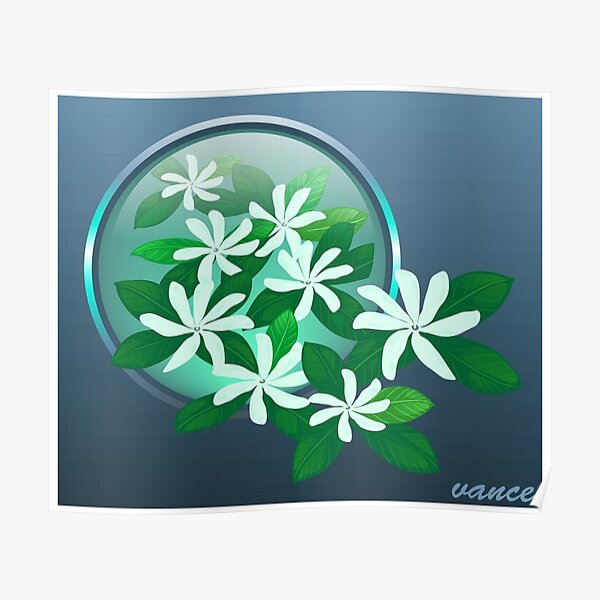 "Tiare" Poster by vancerod65 | Redbubble