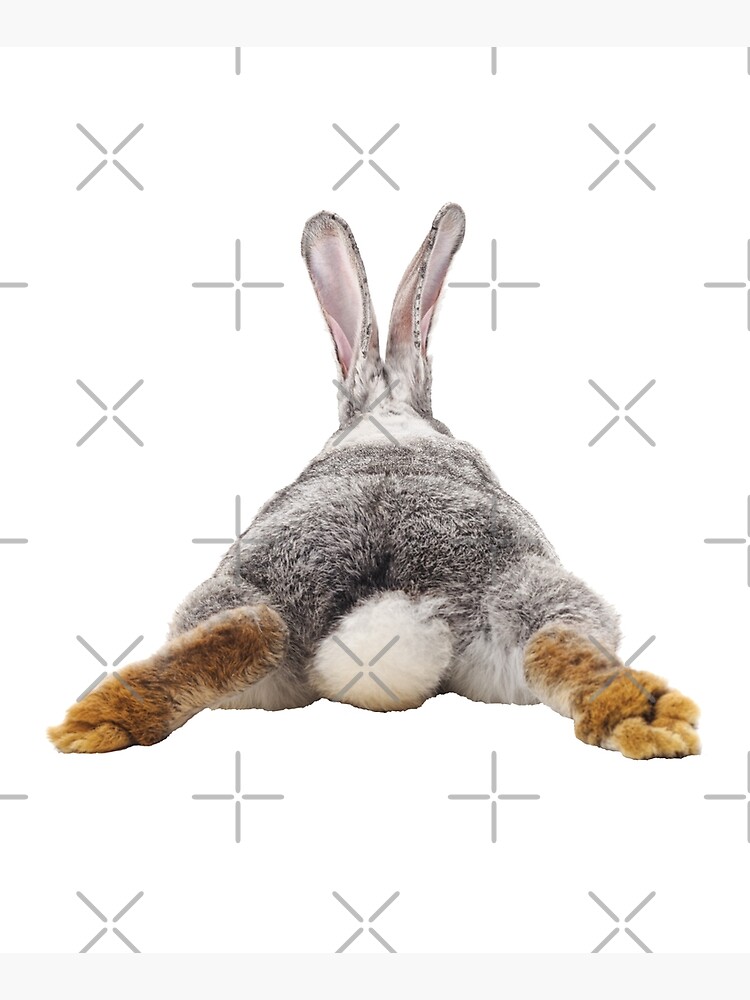 Lámina montada «Imagen linda de la imagen de la cola del conejo de ...