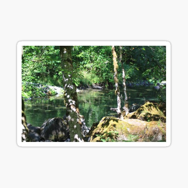 "Trees and Shadows at the Riverbank " Sticker by LemonsandInk | Redbubble