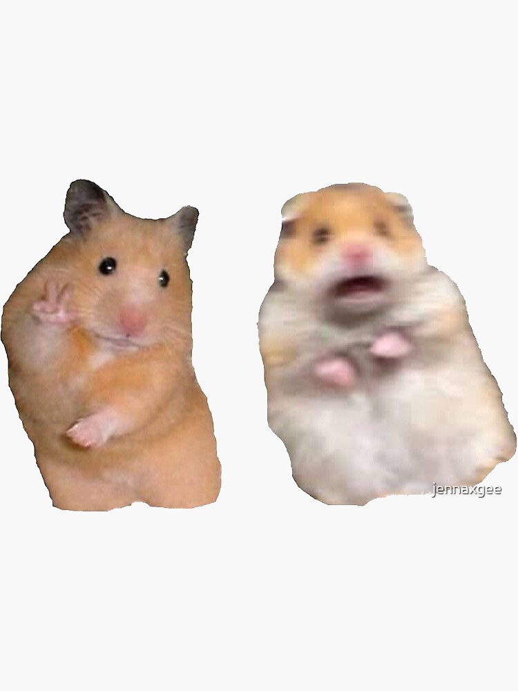 "Peace Sign & Screaming Hamster" Sticker by jennaxgee | Redbubble