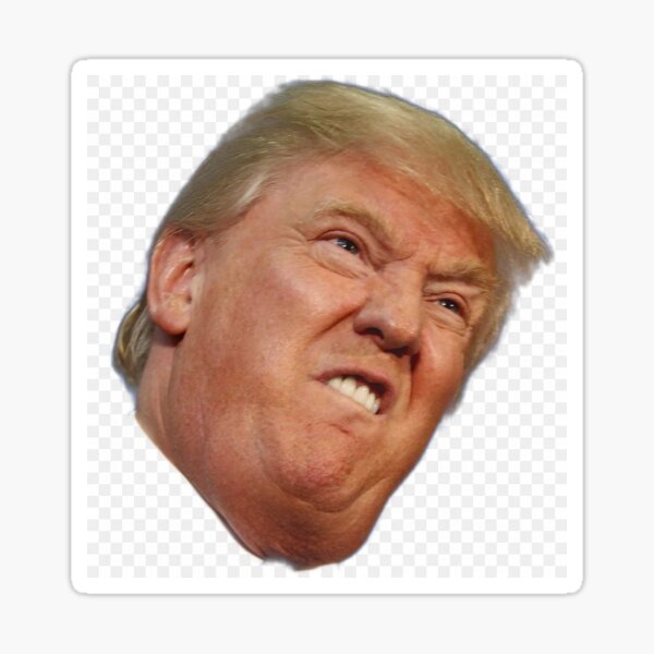 "Trump Face" Sticker for Sale by BeckDesigns | Redbubble