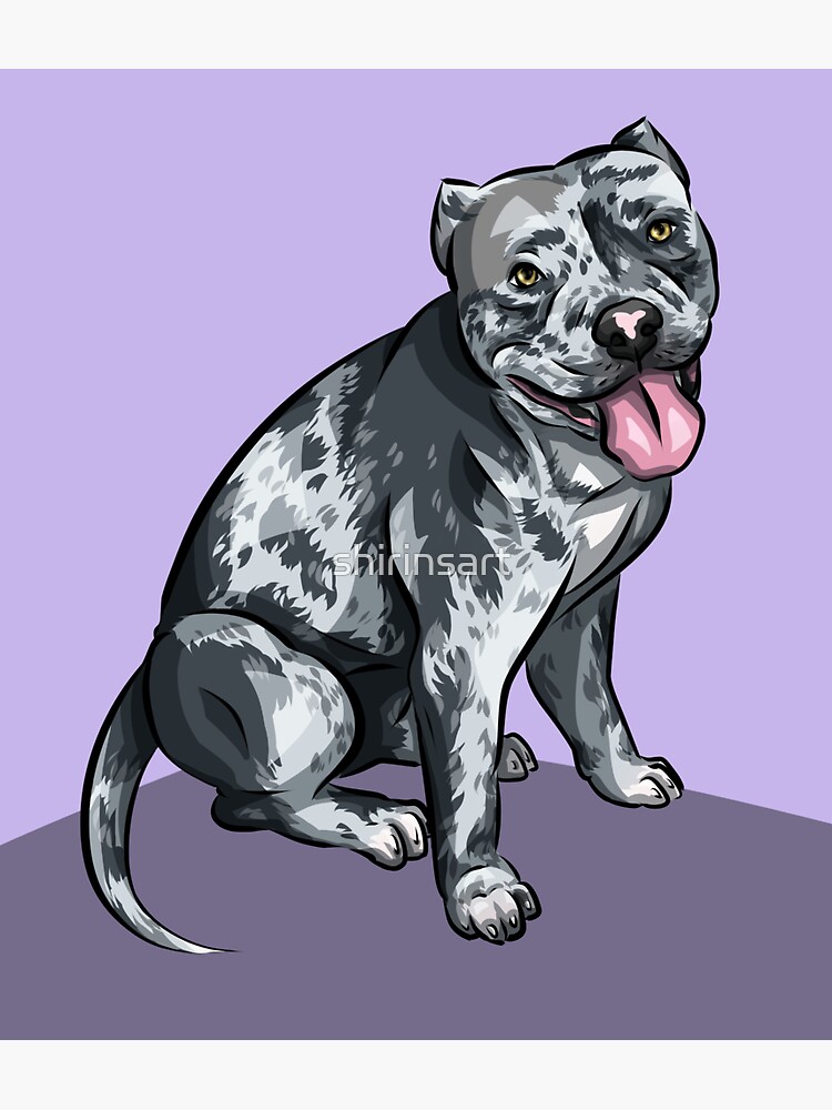 "American Bully | Merle | Cropped | Purple Background | Cute Cartoon ...