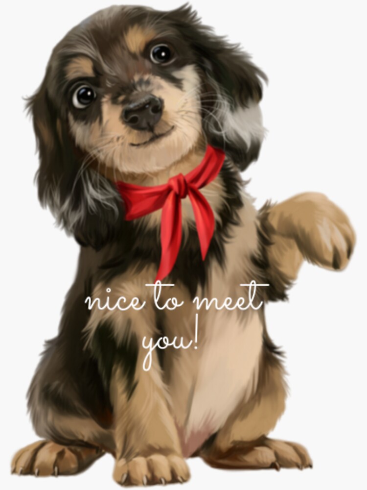 "Nice to meet you!" Sticker for Sale by DarioNelaj | Redbubble