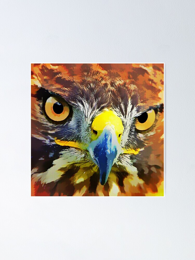 "North American Red-Tailed Hawk" Poster by HerrJeckyl | Redbubble