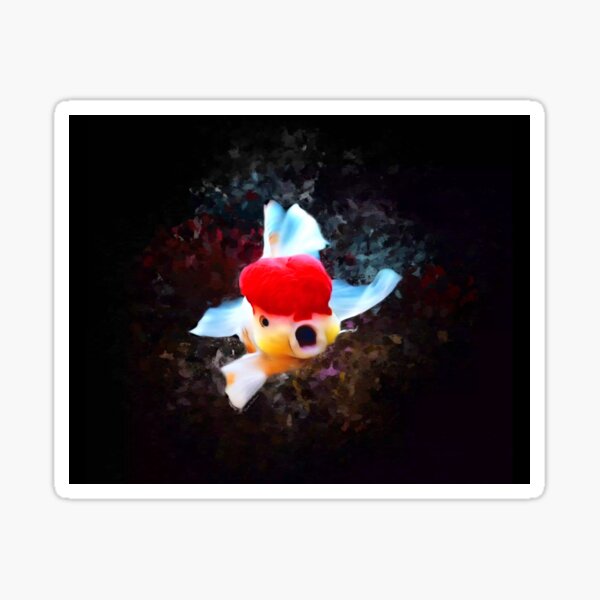 "A Red Cap Oranda Goldfish Abstract Portrait" Sticker by Digital ...
