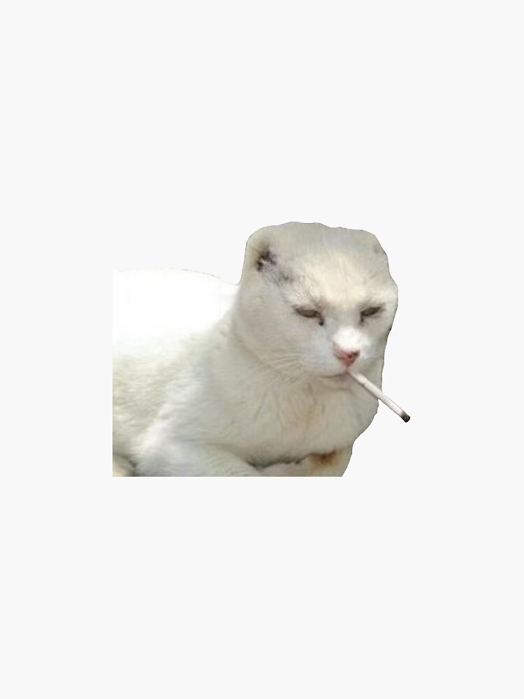 "Cigarette Cat" Sticker for Sale by katjeluftwaffle | Redbubble