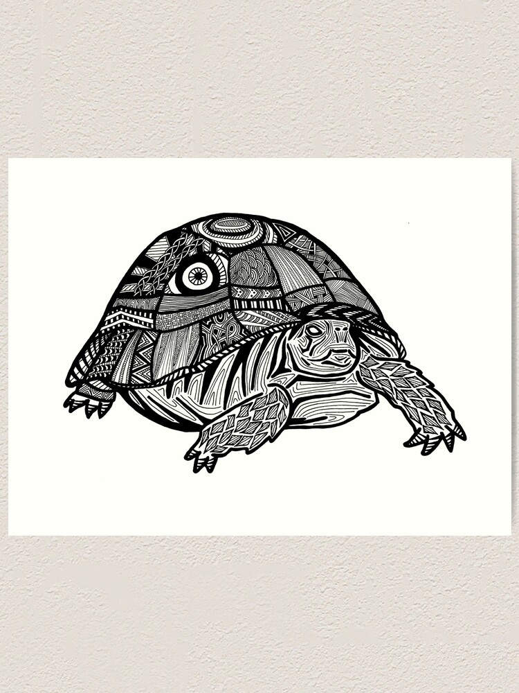 "Turtle Pen Drawing" Art Print by JackiePantsArt | Redbubble
