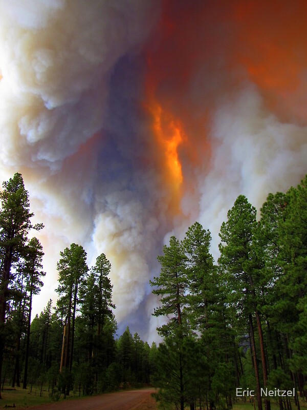 Wildland Fire: Art Prints | Redbubble