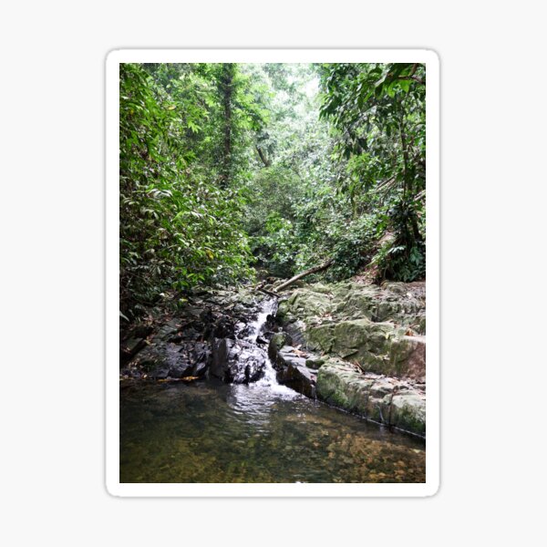 ""Green Sumatra"" Sticker for Sale by AndreasKoerner | Redbubble