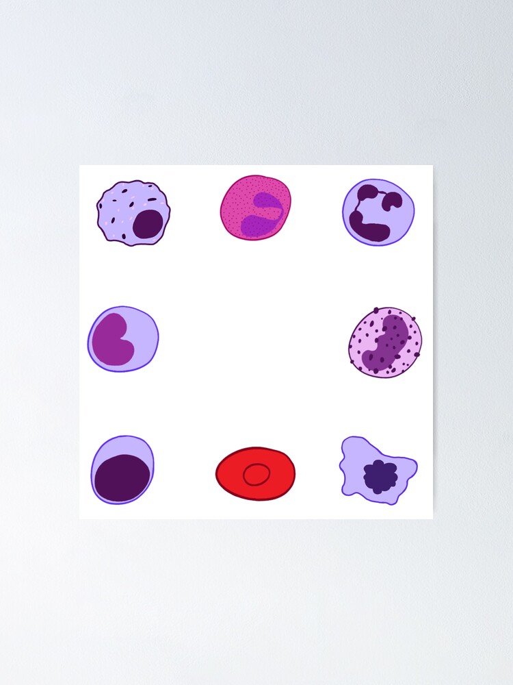 "Blood cells" Poster by starrypanda | Redbubble