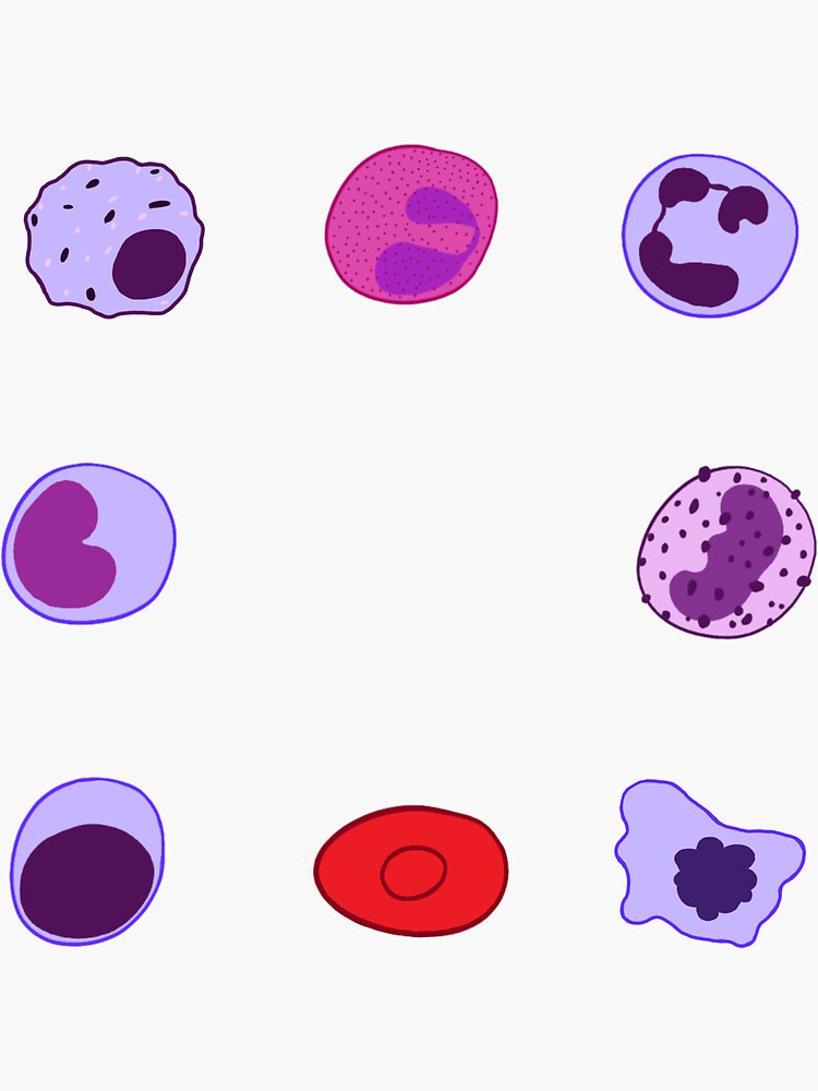 "Blood cells" Sticker for Sale by starrypanda | Redbubble