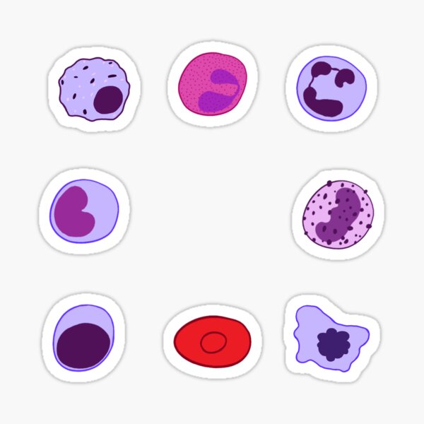 "Blood cells" Sticker for Sale by starrypanda | Redbubble