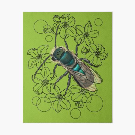 "Blue, Orchard, Mason Bee Doodle" Art Board Print for Sale by mernstw ...
