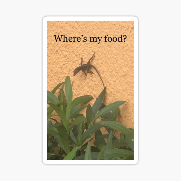 "Lizzy" Sticker for Sale by Amospicazo | Redbubble