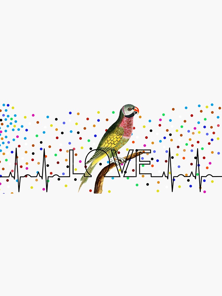 "New love, parrot and pulse rate with dots cartoon " Sticker for Sale ...