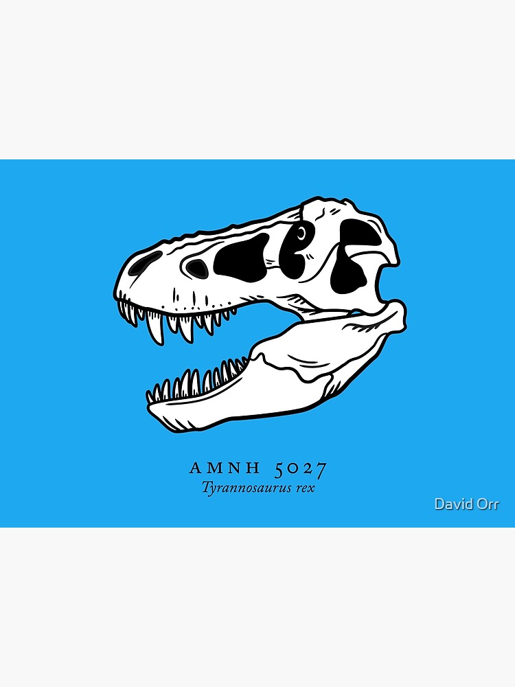 Póster «Tyrannosaurus rex cráneo AMNH 5027» de anatotitan | Redbubble