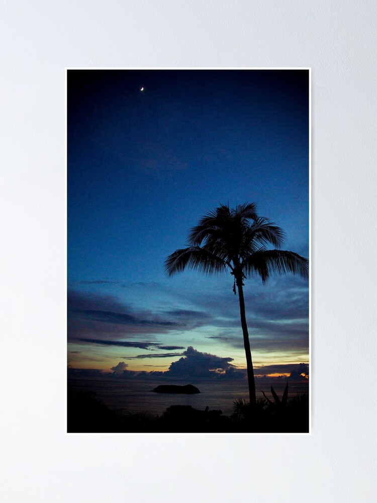 "Island Fever-3" Poster for Sale by ScaredylionFoto | Redbubble