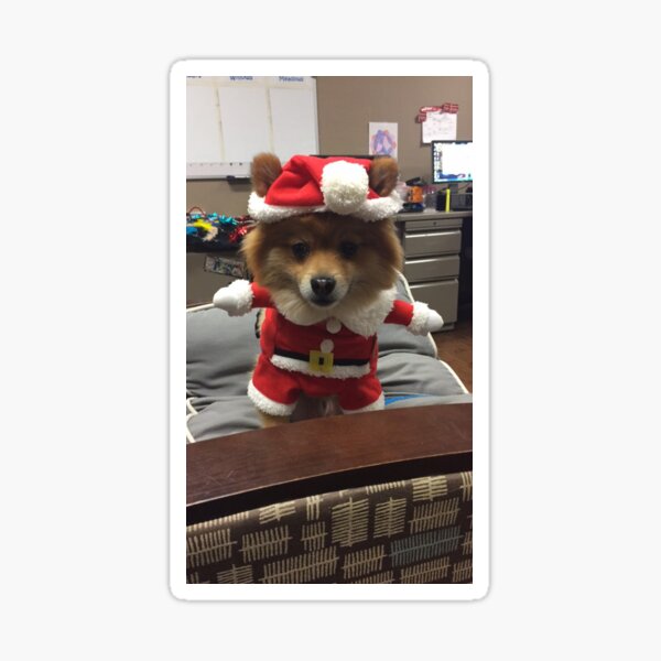 "Santa paws" Sticker for Sale by Hezzy4 | Redbubble