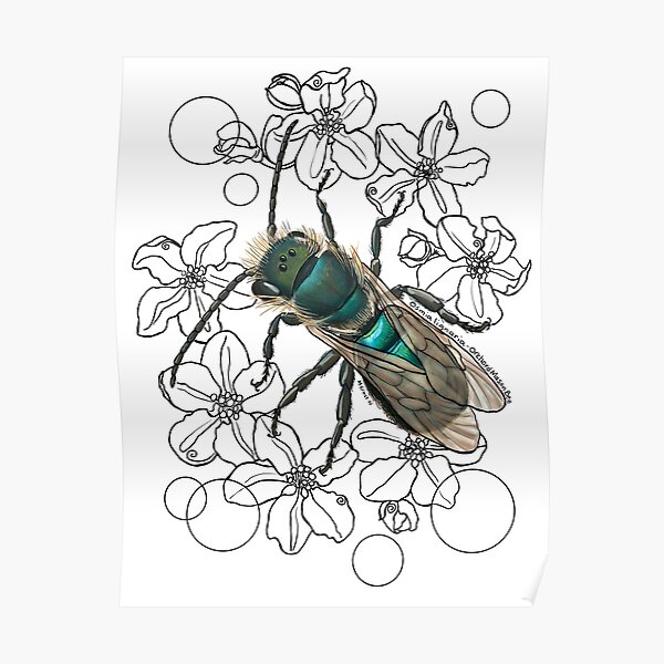 "Blue, Orchard, Mason Bee Doodle, white" Poster for Sale by mernstw ...