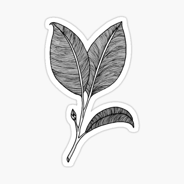 "Hand Drawn Leaves" Sticker for Sale by brianna005art | Redbubble