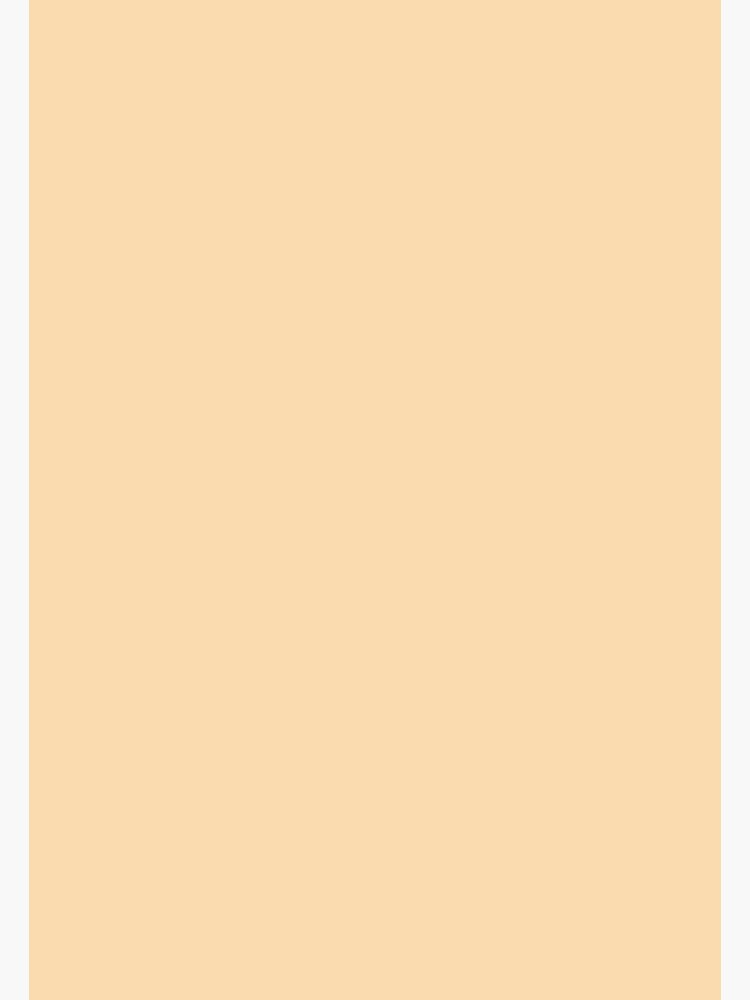 "Fitzpatrick Scale Type II: White, Fair Skin Tone - Solid Color ...