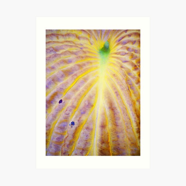 Taboo Art Prints | Redbubble