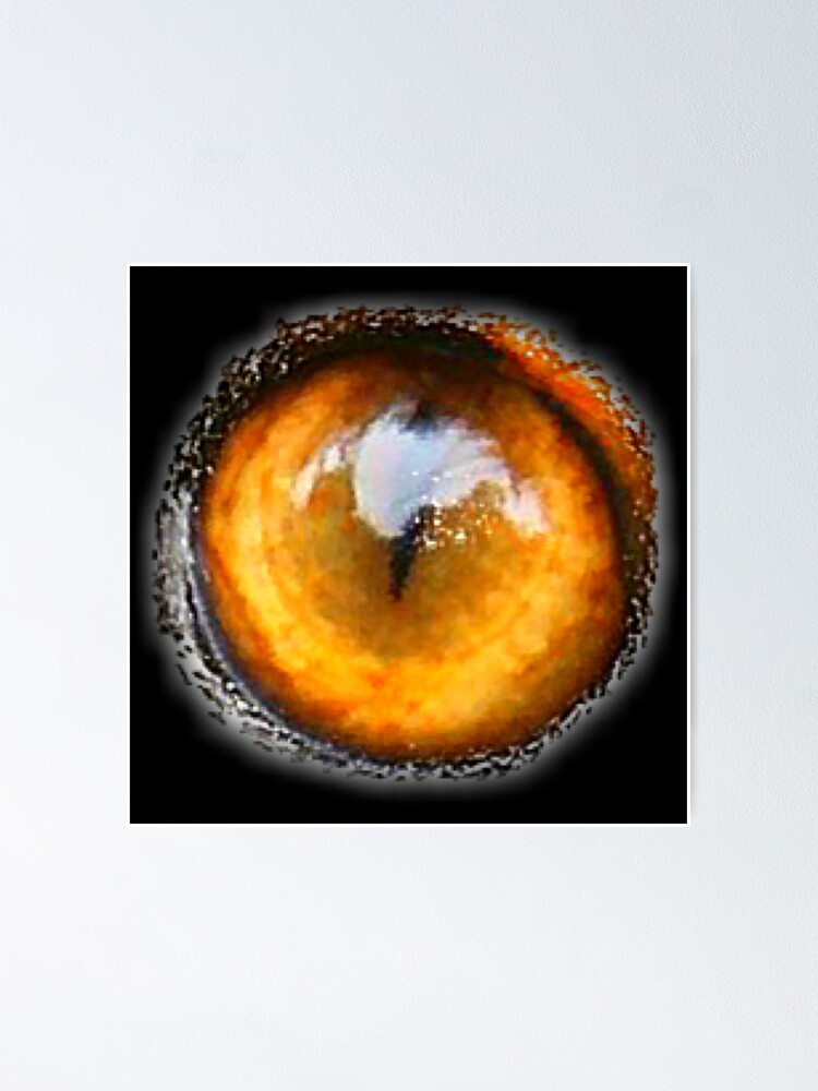 "Fox cat eye weird animals design nature" Poster for Sale by Julieford ...