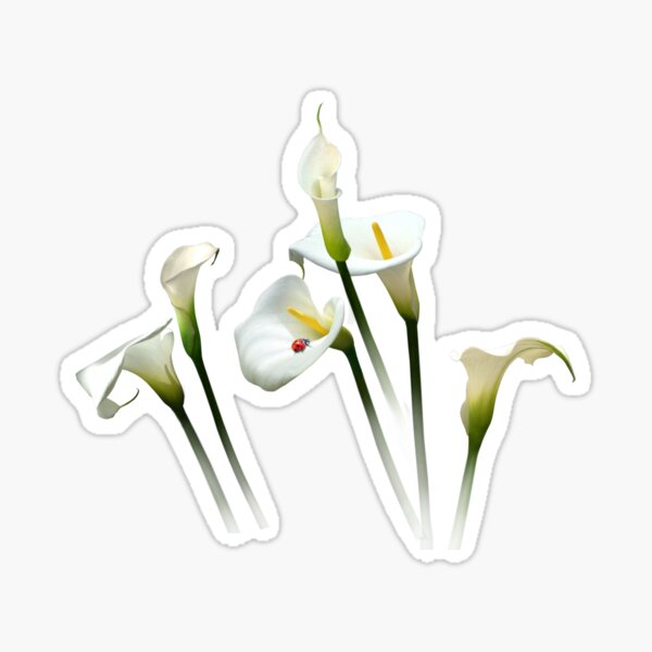 Papercraft Card Making & Stationery Outdoor Circle Waterproof Vinyl ...