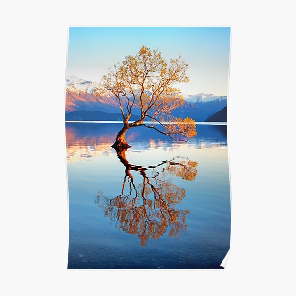 "That Wanaka Tree" Poster for Sale by agrei8 | Redbubble