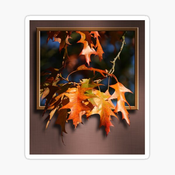 "Creative art frame & design" Sticker by MezyBruny | Redbubble