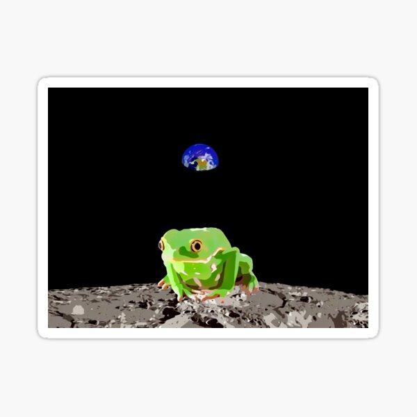 "Moon Frog" Sticker for Sale by ctaylorscs | Redbubble