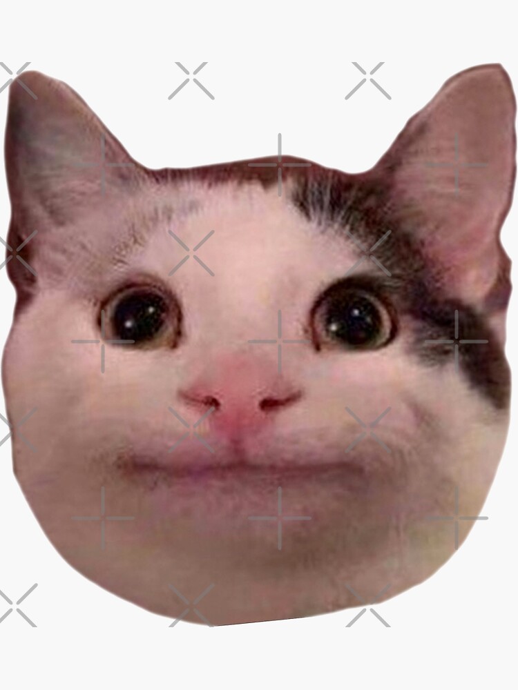 "Meme cat happy" Sticker for Sale by Raft | Redbubble