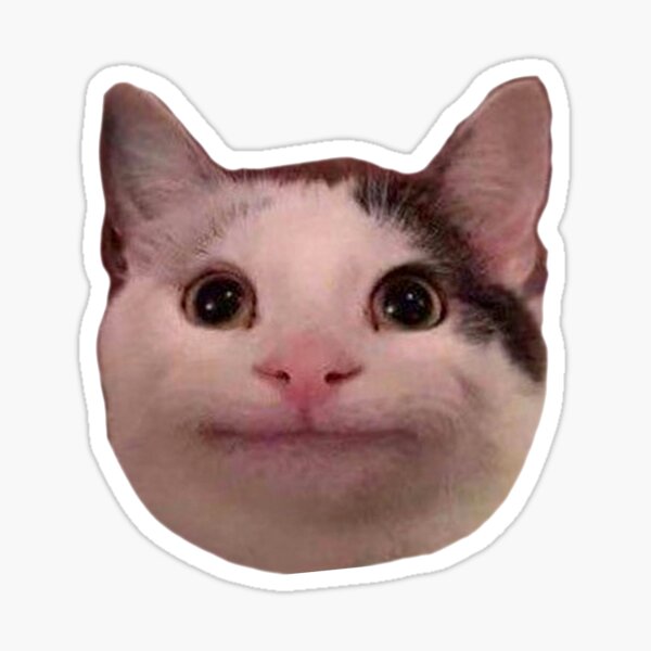 "Meme cat happy" Sticker for Sale by Raft | Redbubble