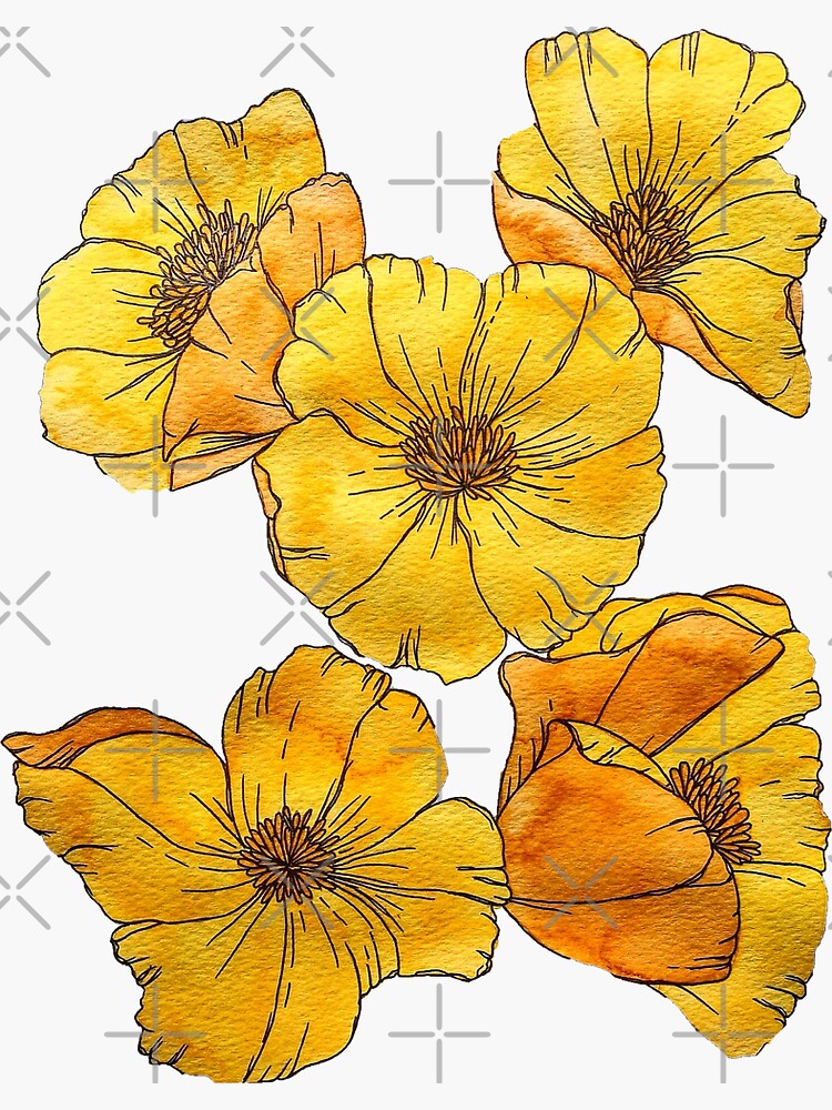 "Yellow Primrose" Sticker for Sale by Charlotteswork | Redbubble