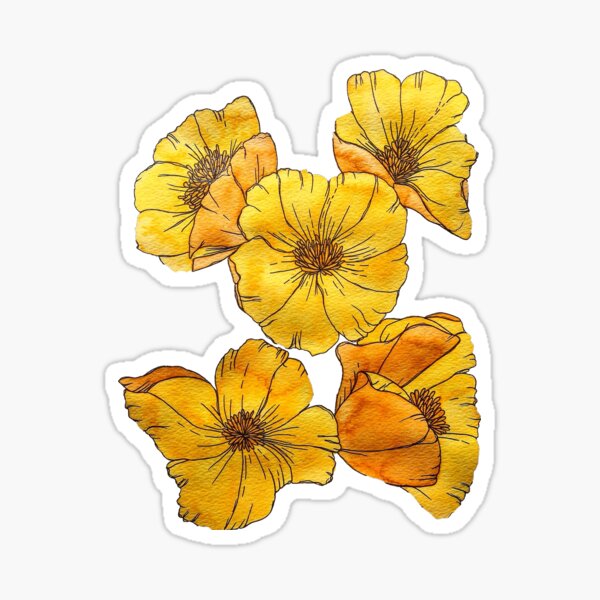 "Yellow Primrose" Sticker for Sale by Charlotteswork | Redbubble