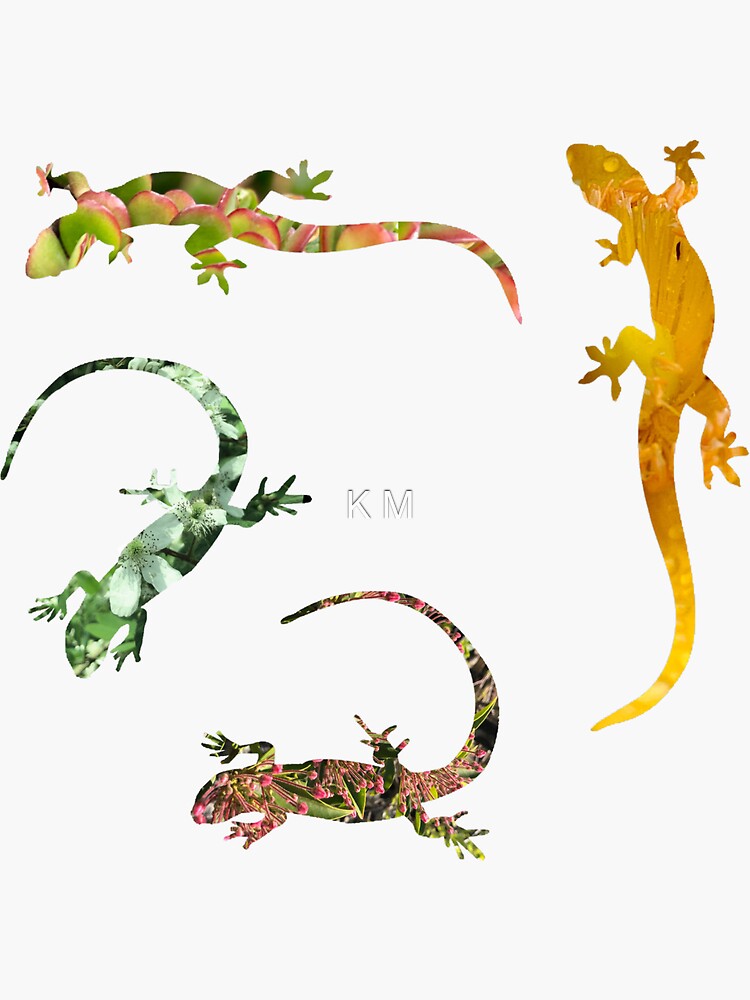"Salamander Sticker Pack" Sticker for Sale by kmeadows2022 | Redbubble