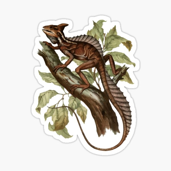 "Common basilisk" Sticker by JoeLaFontaine | Redbubble