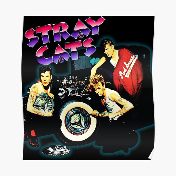 Stray Cats Posters | Redbubble