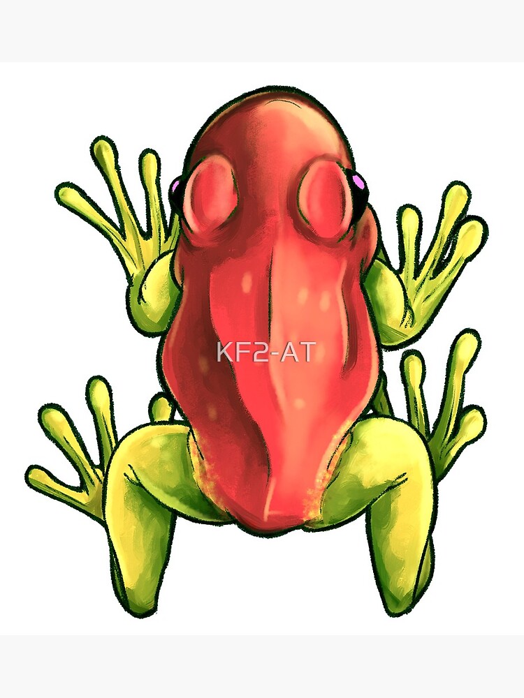 "Red Frog" Art Print by KF2-AT | Redbubble