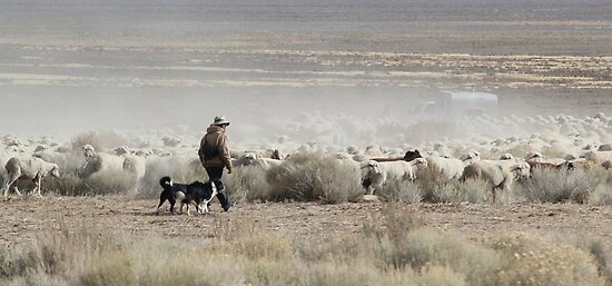 "Annual Migration" by Arla Ruggles | Redbubble