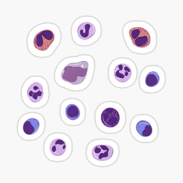 Medical Stickers | Redbubble