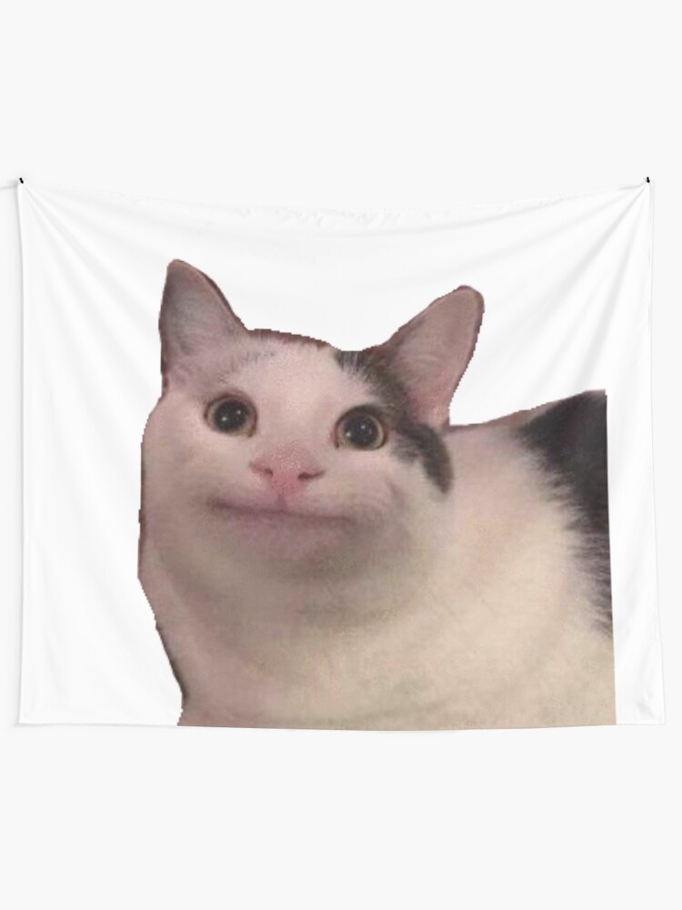 "meme cat polite cat" Tapestry for Sale by PeterProtozoa | Redbubble