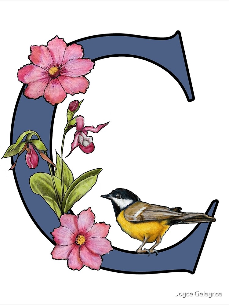"LETTER C, Initial, Monogram, BIRD, Flowers, Ladyslipper, Cosmos, Pink ...