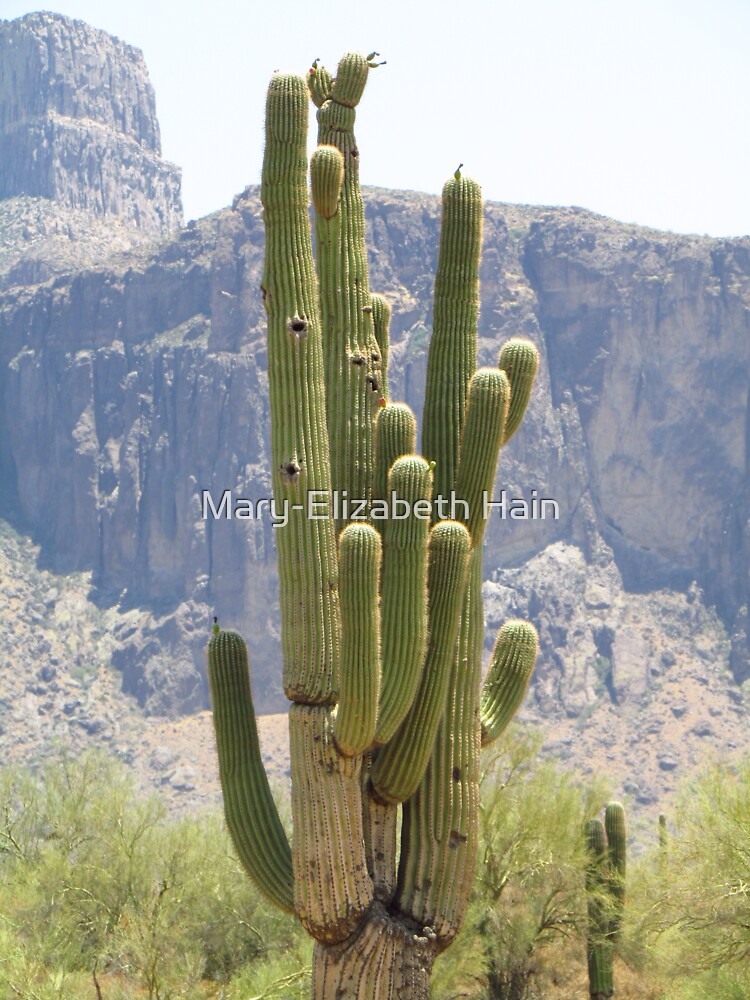 "Giant Saguaro Hotel for Superstitious Cactus Wrens" Sticker for Sale ...