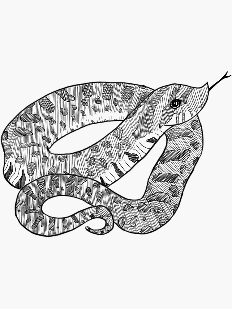 "Hognose Sketch" Sticker for Sale by colbylsoldan | Redbubble